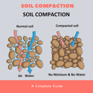 8 Types of Construction Piles and Pile Cutting Guide [Tips]